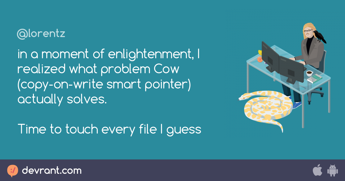 so many redundant allocations! - in a moment of enlightenment, I realized what problem Cow (copy ...