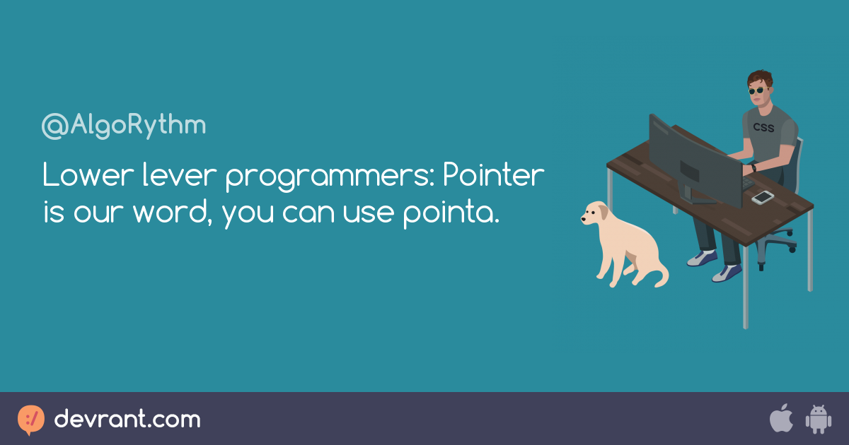 Lower Lever Programmers Pointer Is Our Word You Can Use Pointa Devrant