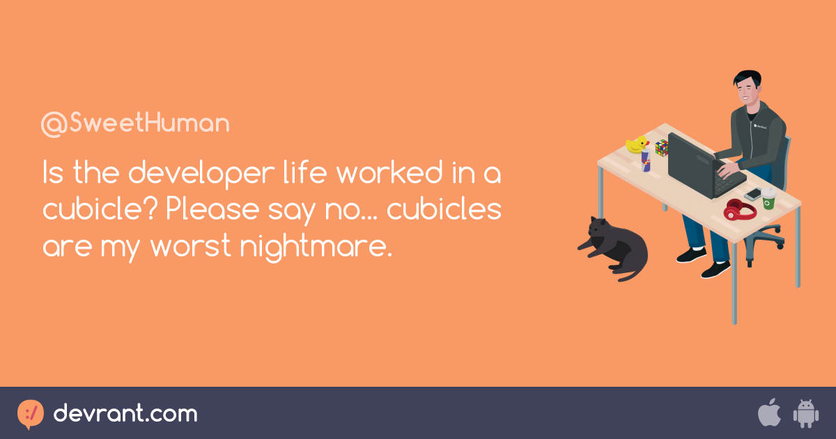 Is the developer life worked in a cubicle? Please say no... cubicles are my worst nightmare ...