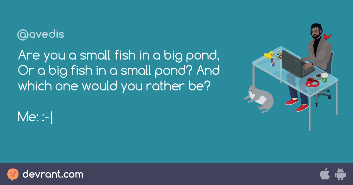 Best or worst developer interview question? - devRant