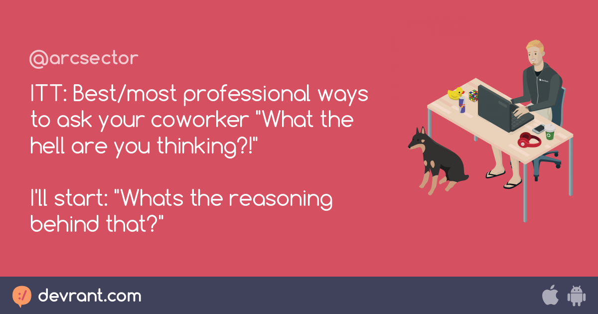 wtf - ITT: Best/most professional ways to ask your coworker "What the hell are you thinking?!" I ...