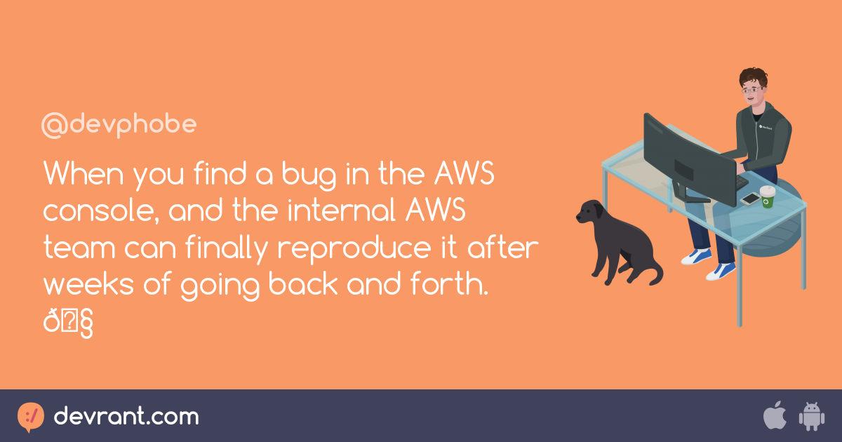 bug - When you find a bug in the AWS console, and the internal AWS team can finally reproduce it ...