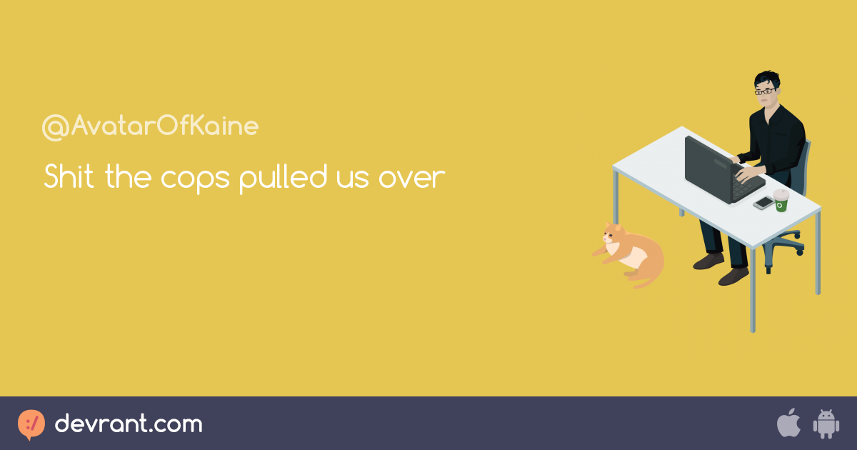 Shit the cops pulled us over - devRant