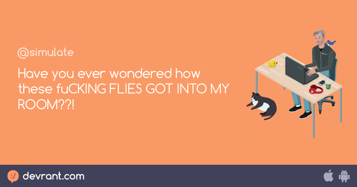 Damn Bugs Have You Ever Wondered How These Fucking Flies Got Into My